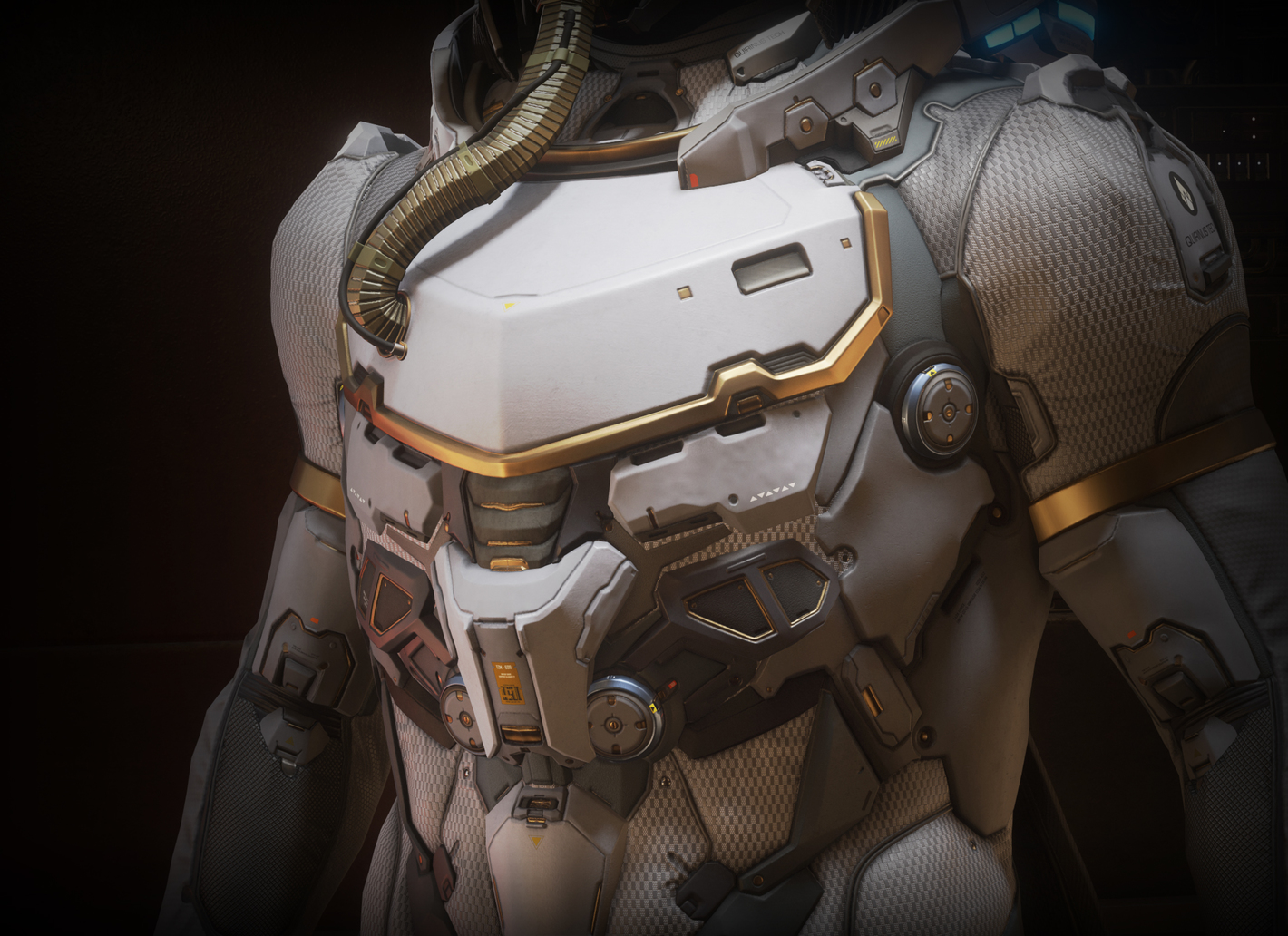 Extras - Quirinus Tech Artimex “Canuto” Armor - Roberts Space ...